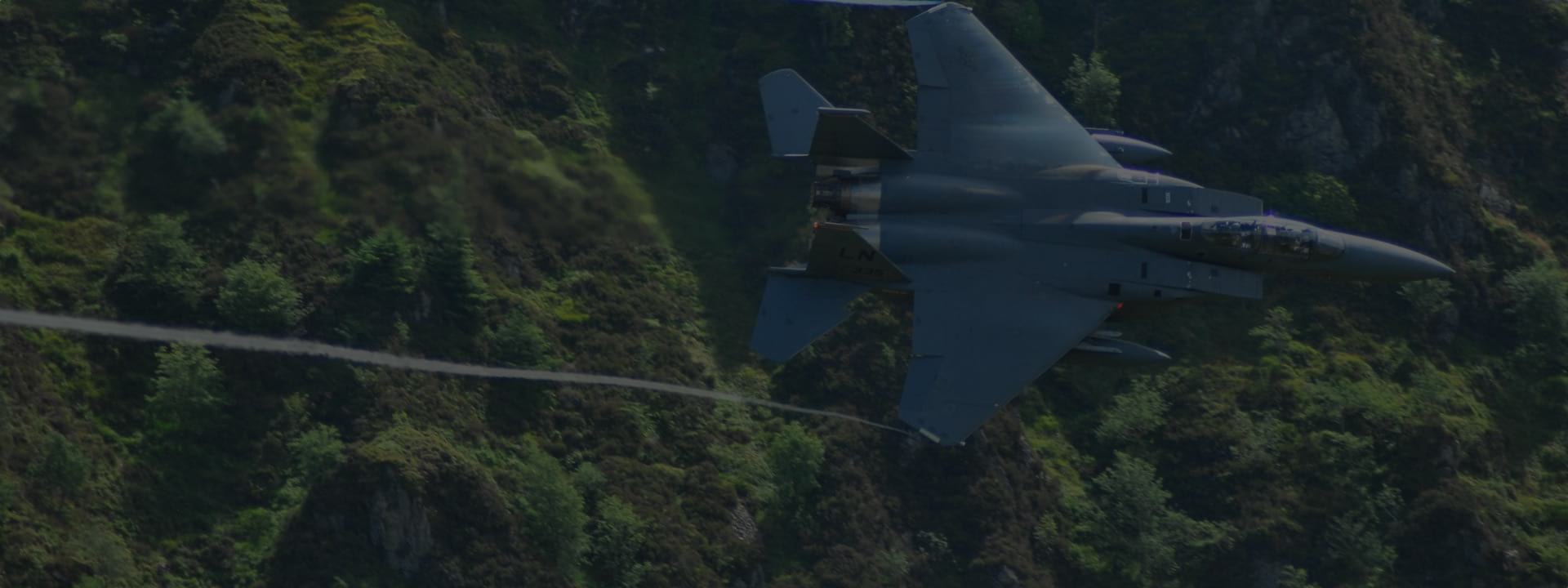 New Business Capture - Trace7 Company